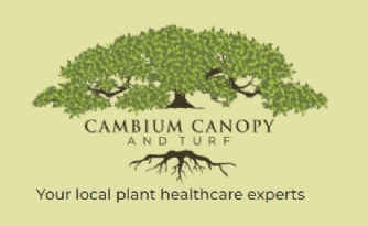 1LT Sharon A. Lane Memorial VFW Post 12190